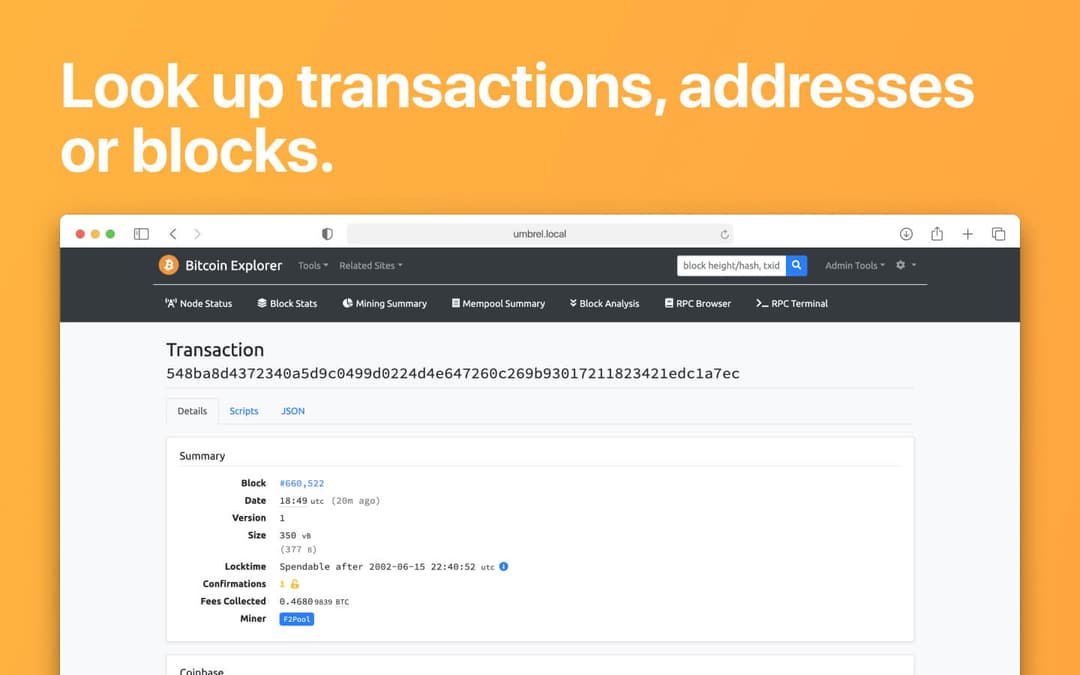 BTC RPC Explorer | Umbrel App Store