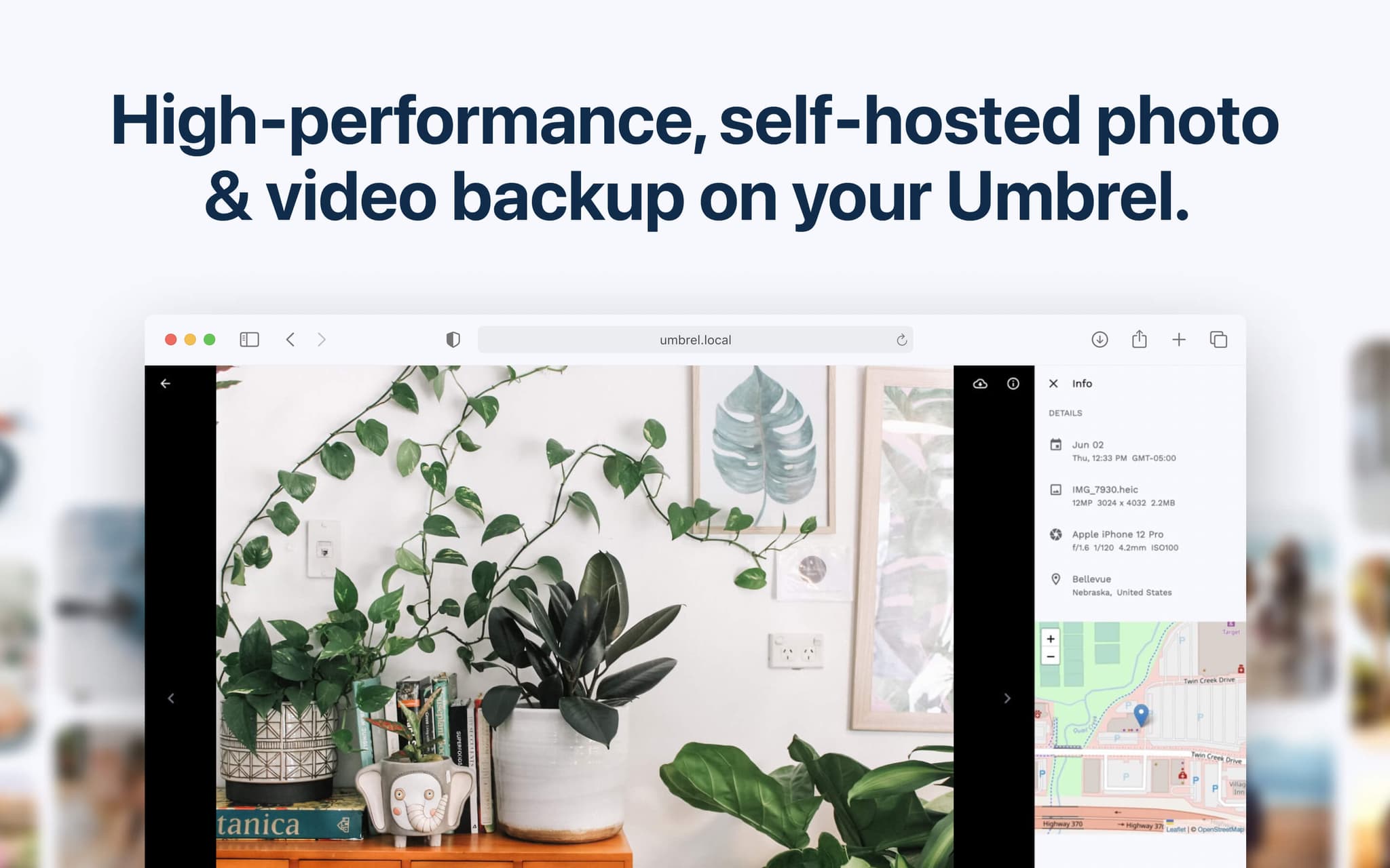 Immich | Umbrel App Store